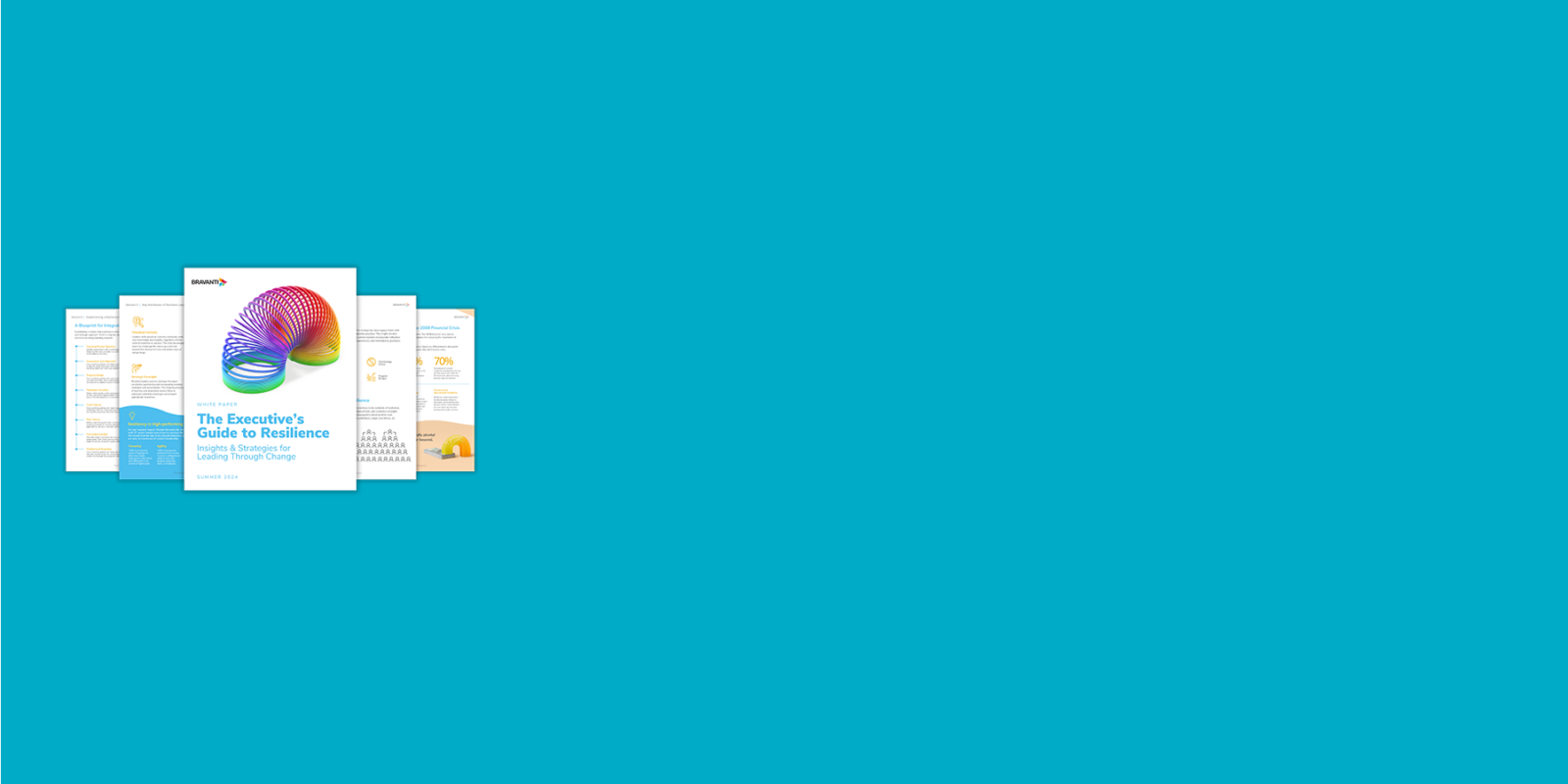 The Executive's Guide to Resilience - Bravanti